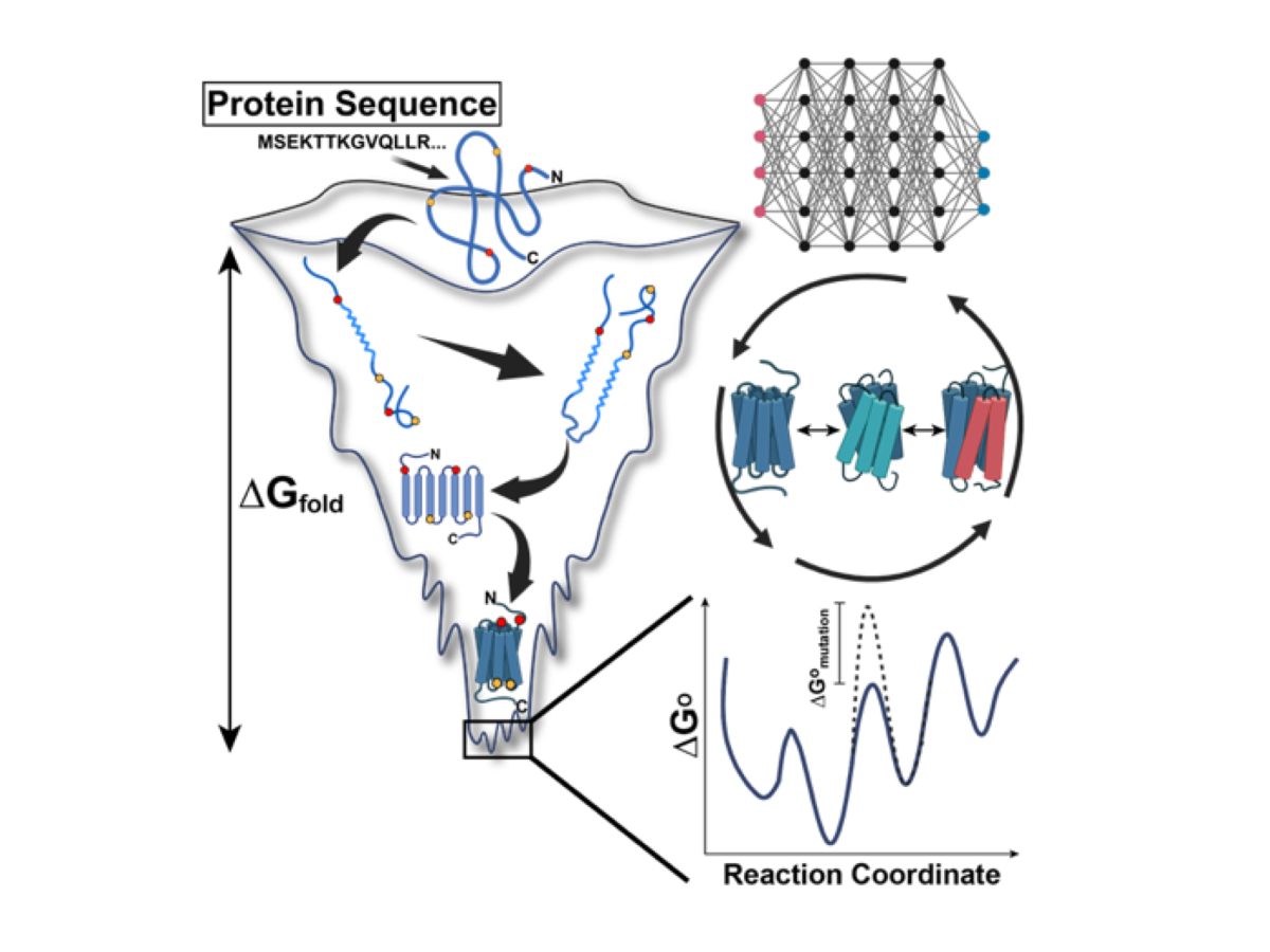 AI Protein Dynamics | Vanderbilt University
