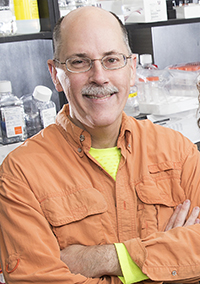 Sanders promoted to Vice Dean of Basic Sciences | Center for Structural ...