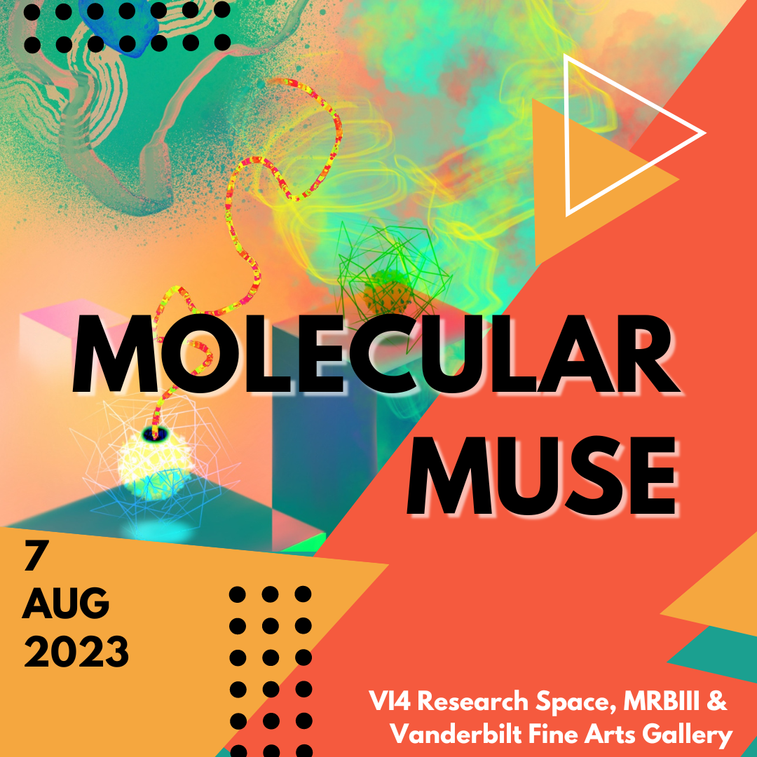 DSI | Vanderbilt University