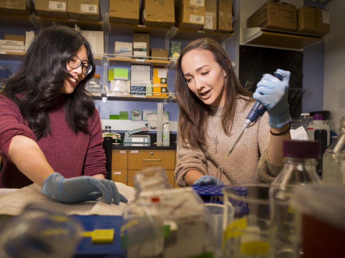 School of Medicine | Immersion Vanderbilt | Vanderbilt University