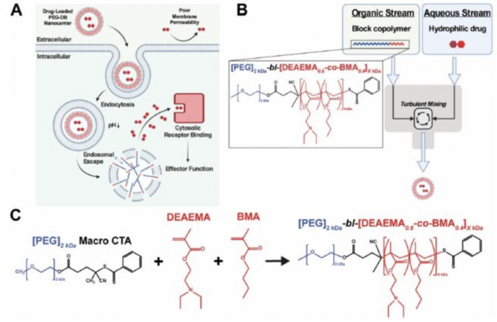 Spotlight Publication: “Engineering endosomolytic nanocarriers of ...