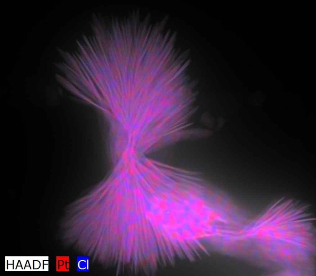 Transmission Electron Microscope (TEM) | VINSE | Vanderbilt University