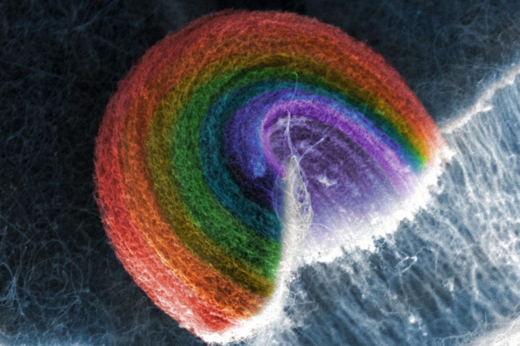 Advanced Imaging Suite | VINSE | Vanderbilt University