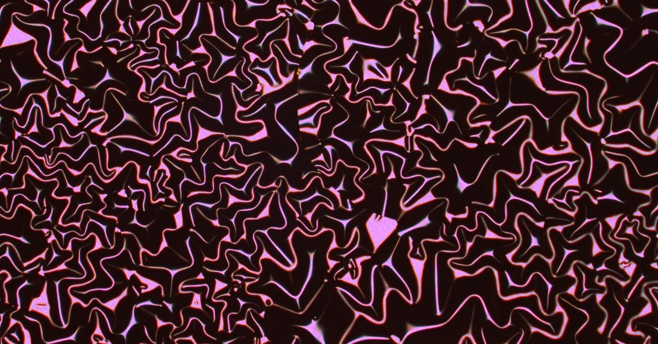 Optical Microscopes | VINSE | Vanderbilt University