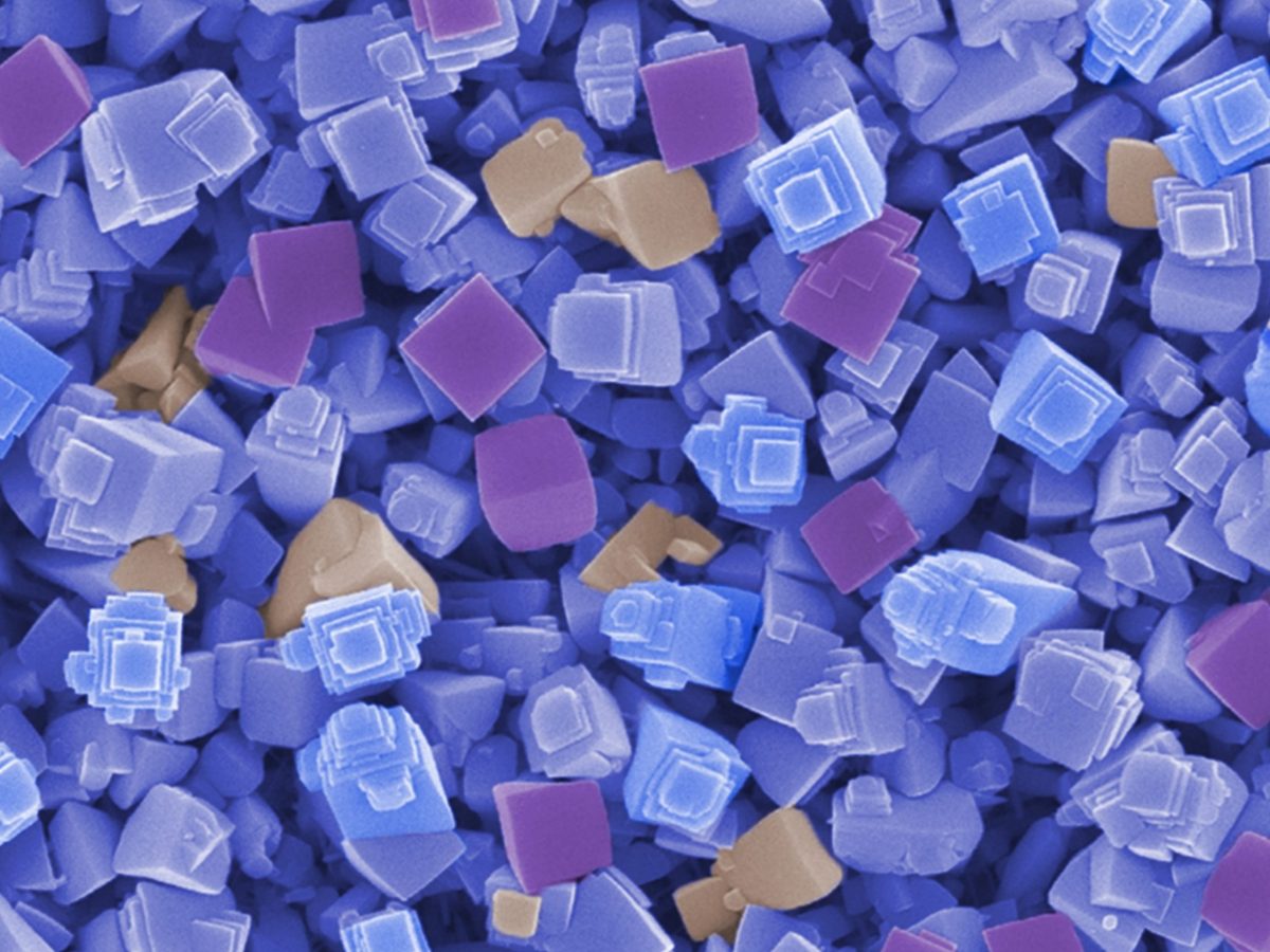 Advanced Imaging Suite | VINSE | Vanderbilt University